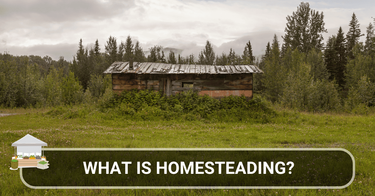 What Is Homesteading In 2026? Off-Grid Destinations
