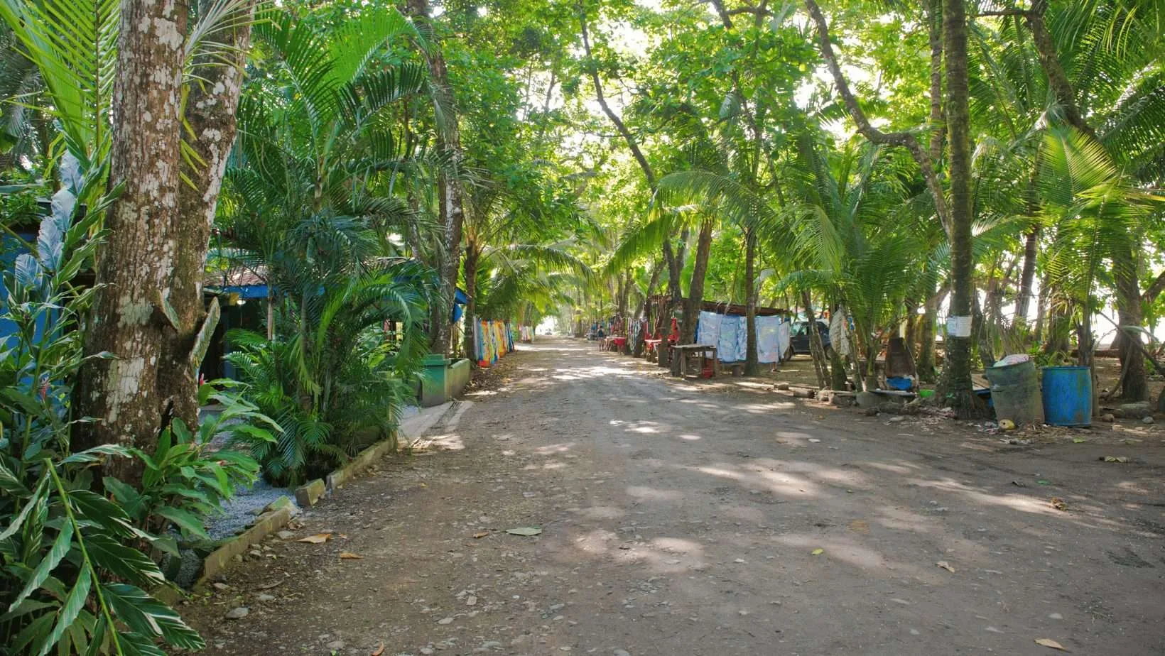 Exploring Dominical: A Guide To Costa Rica's Beach Town